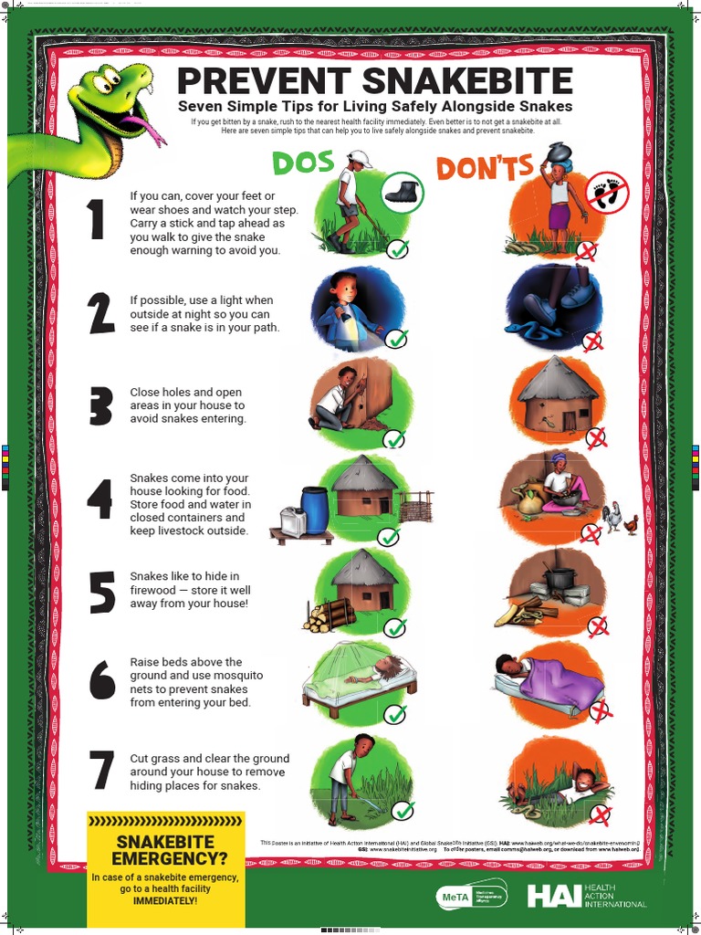 Snake Safety Tips for Rural Areas | PDF