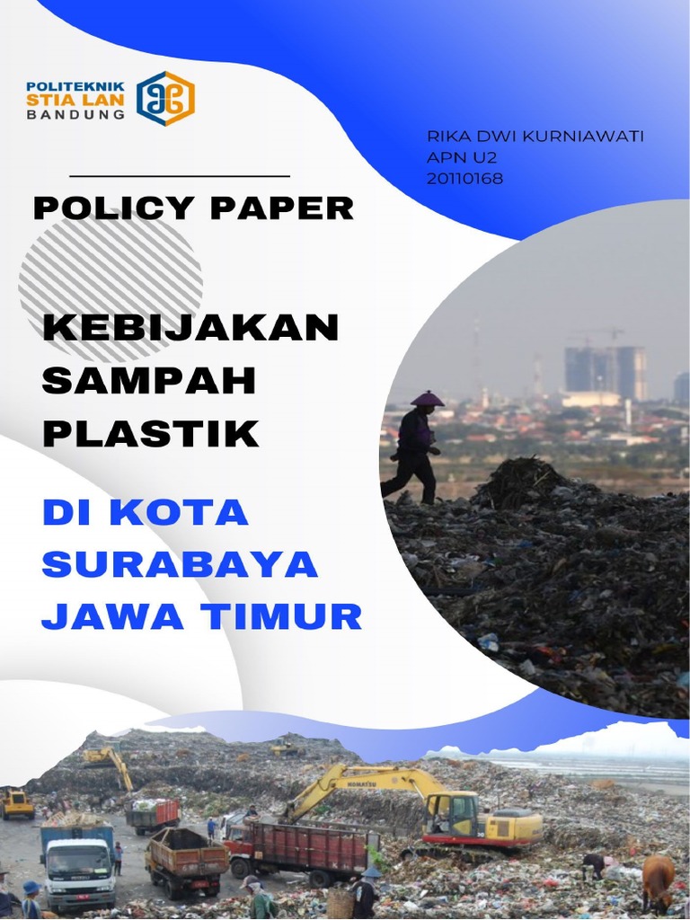 Policy Paper | PDF | Science & Mathematics | Technology & Engineering