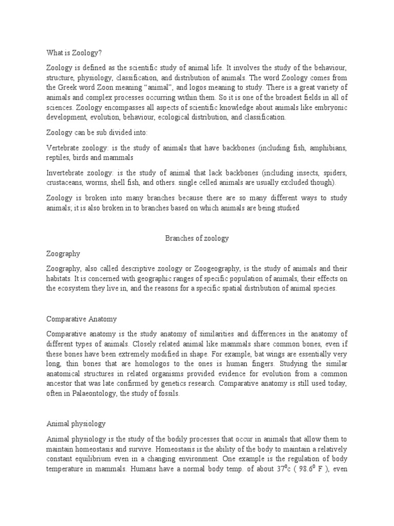 Diversity and General Characteristics of Animals Updated | PDF ...