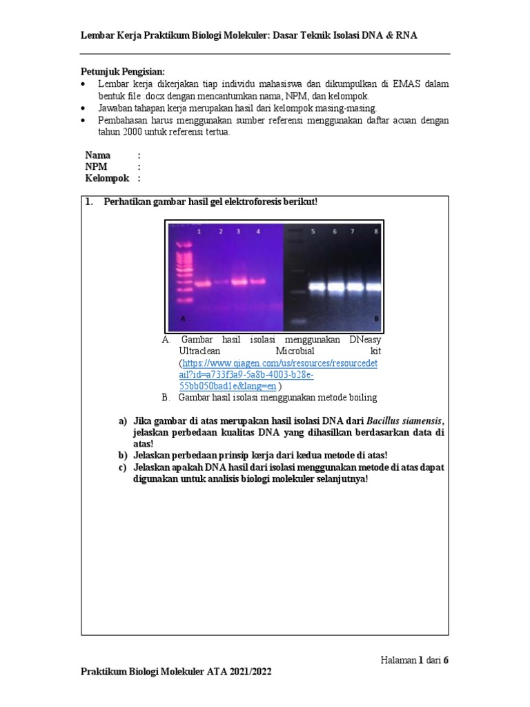 (LK) Dasar Teknik Isolasi DNA RNA | PDF