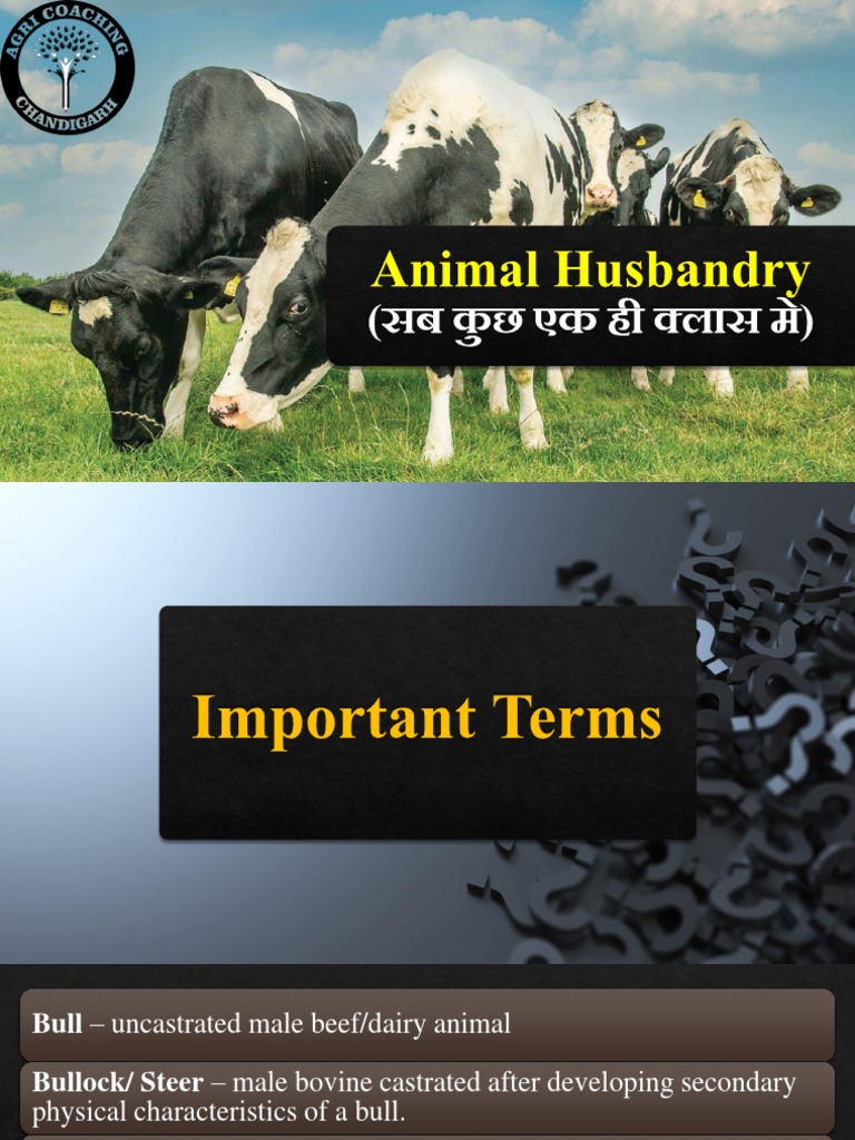 Animal Husbandry Lecture | PDF | Milk | Ruminant