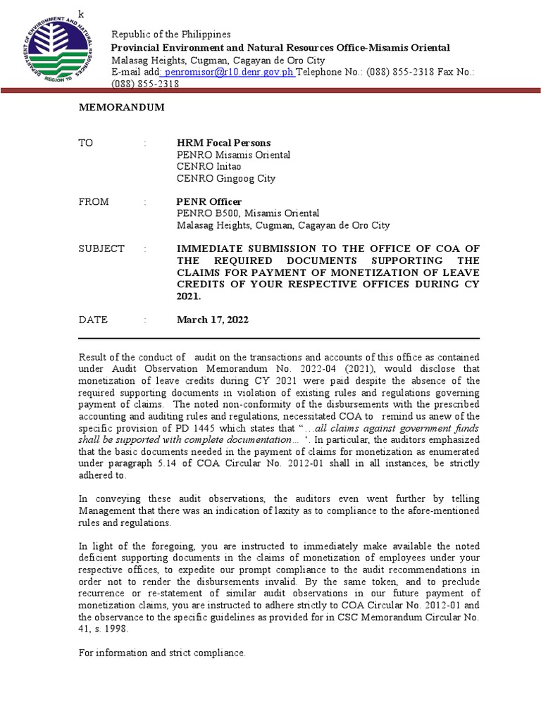 Monetization | PDF | Audit | Financial Services