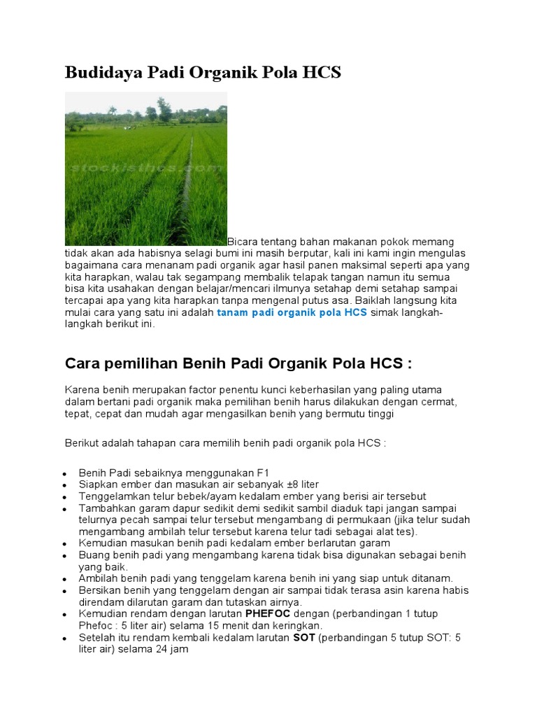 Budidaya Padi Organik Pola HCS | PDF
