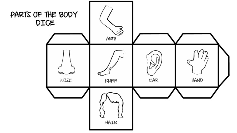 parts of the body dice (1) | PDF