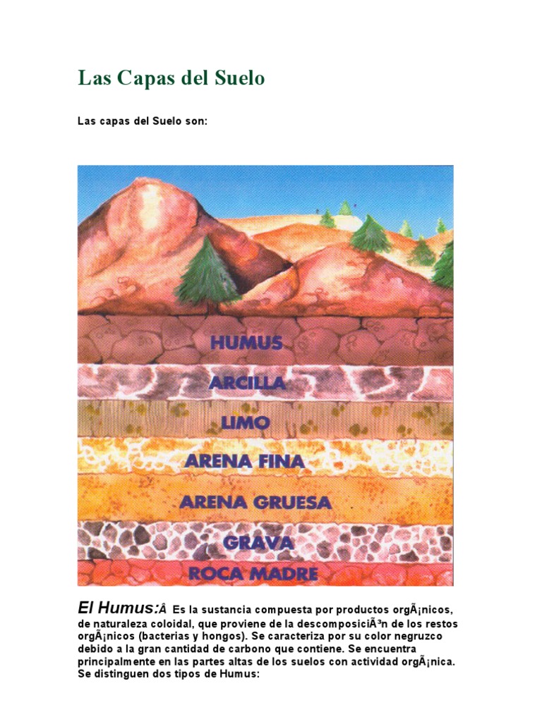 Capas del Suelo: Humus, Arcilla y Arena | PDF | Arena | Arcilla