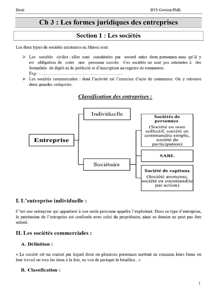 Les Formes Juridiques Des Entreprises | PDF