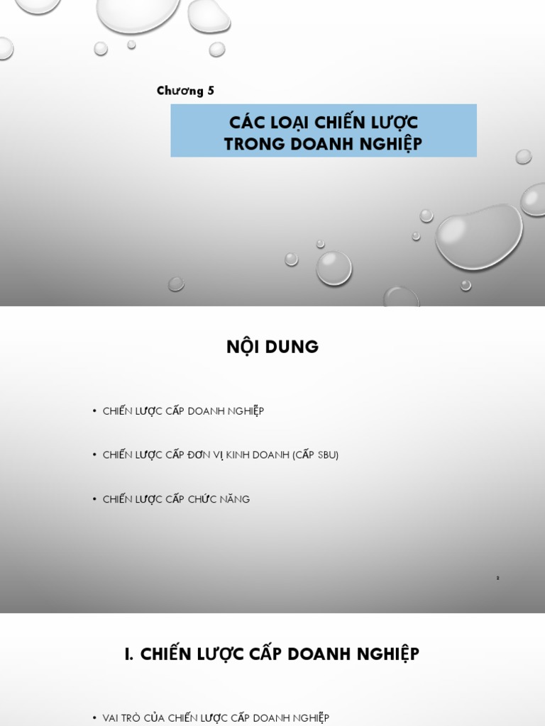 Chuong 5-Cac Loai Chien Luoc | PDF