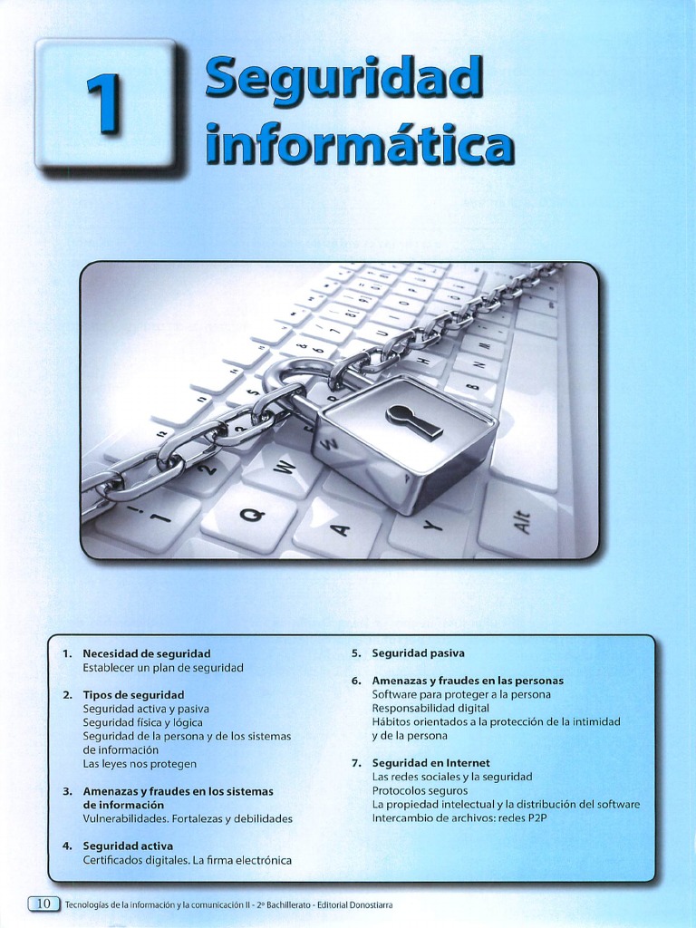 01 Seguridad Informatica | PDF