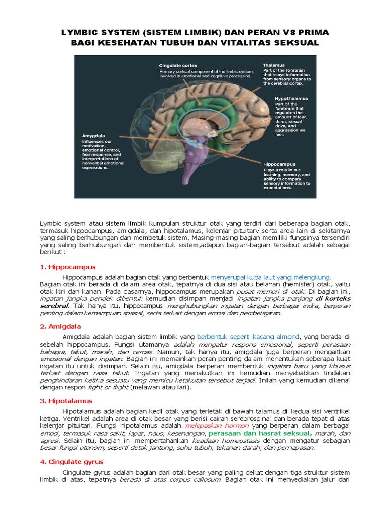 Sistem Limbik dan Kesehatan Seksual | PDF | Pengembangan Diri ...