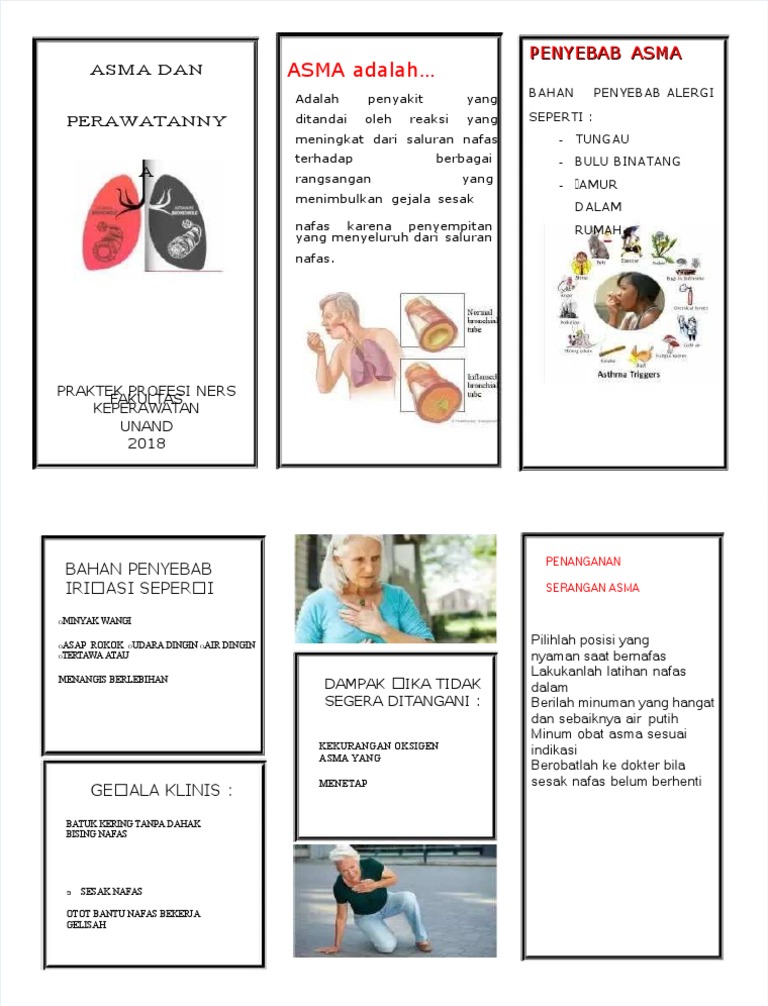 PDF Leaflet Asma 1 - Compress | PDF