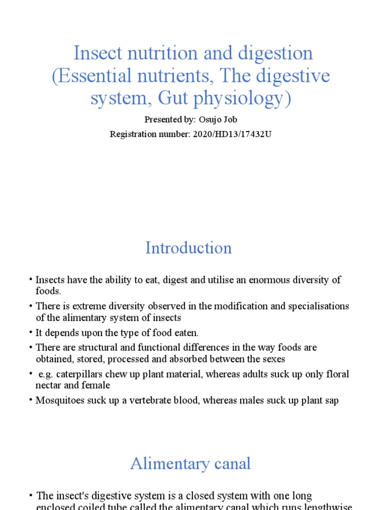Insect Nutrition | PDF | Digestion | Insects