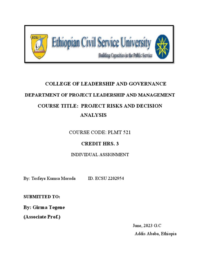 Tesfaye Kumsa Moroda ID. 2202954 Risk Individual Assignment | PDF ...