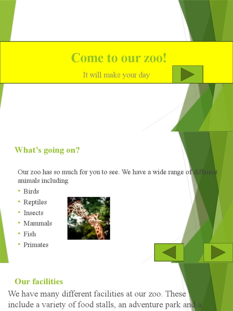 Visit Our Zoo: Fun for Everyone! | PDF