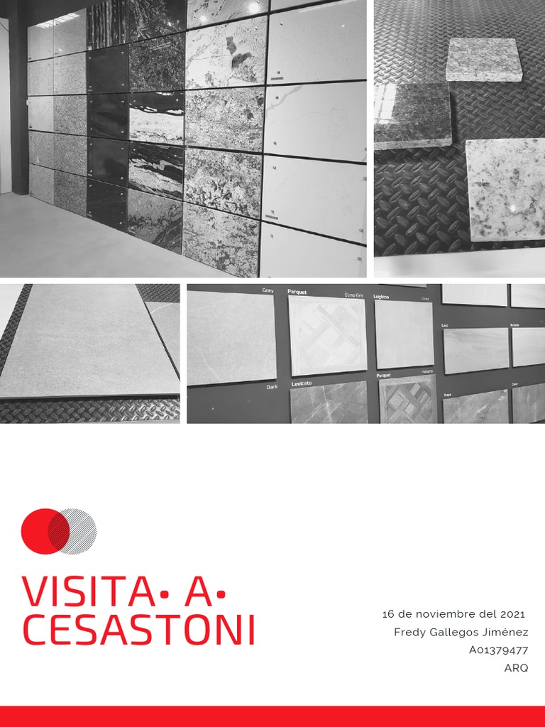 Visita A Cesantoni | PDF | Color | Diseño