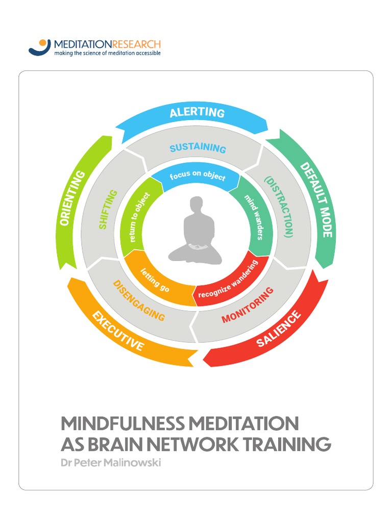 Brain-Networks-and-Meditation-leaflet | PDF | Cingulate Cortex | Cerebral Cortex