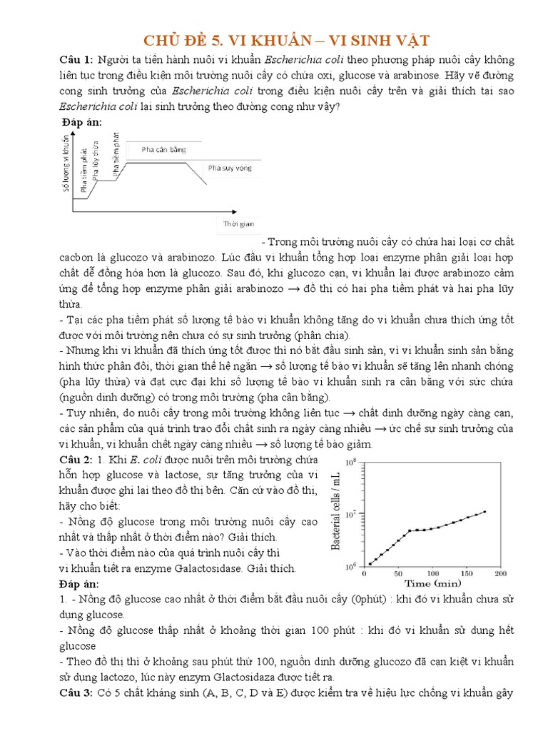 BT - VSV - DA - Sinh Truong - DA | PDF