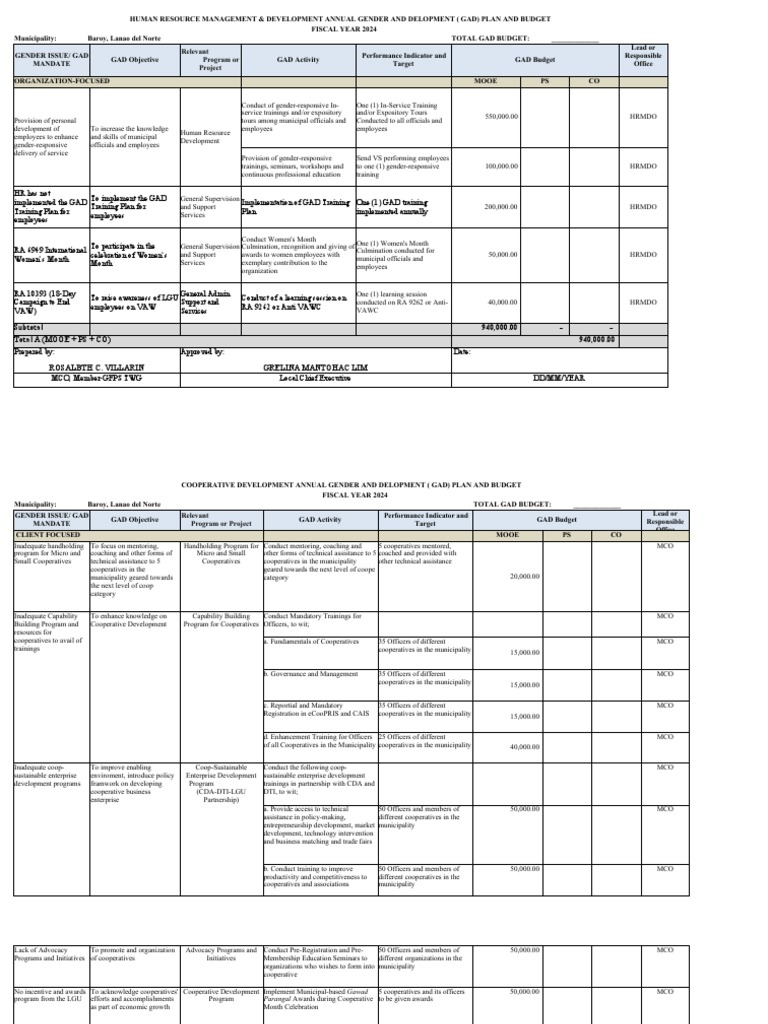 GAD Plan and Budget 2024 for Baroy | PDF
