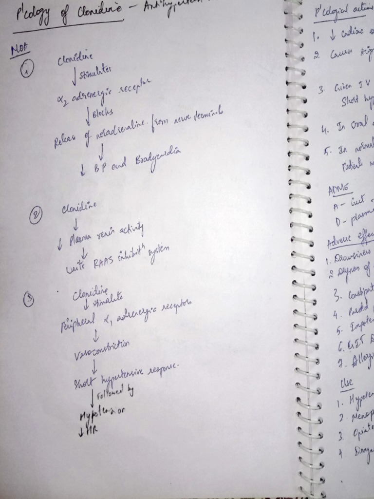 Medical Jargon Compilation | PDF