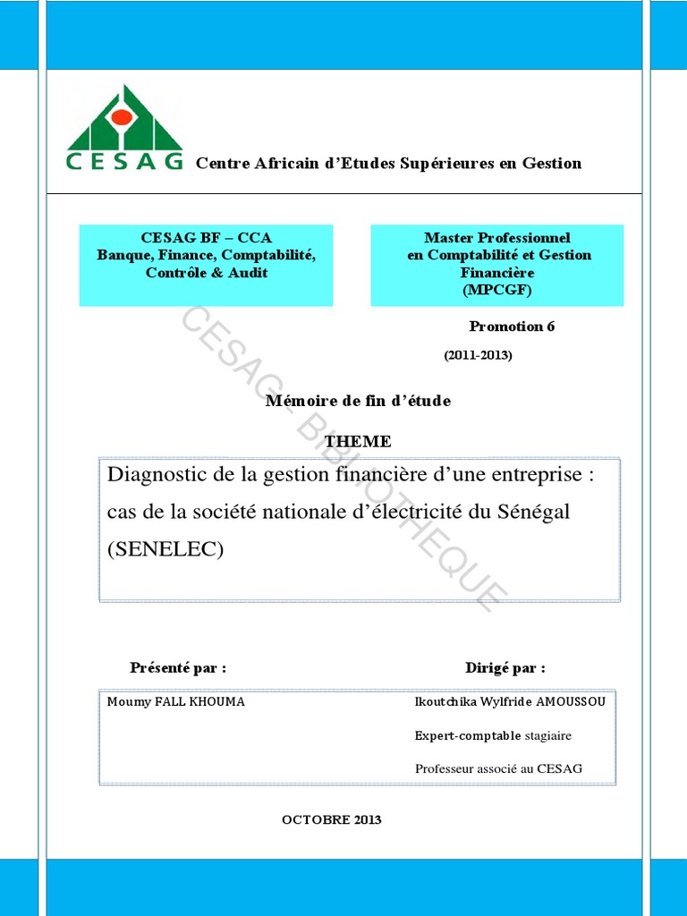 Cesag - Bibliotheque | PDF | Business | Fonds de roulement