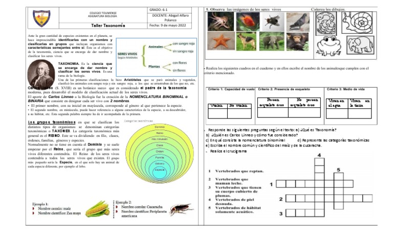 Taller Taxonomía | PDF | Ciencias sociales | Filosofía
