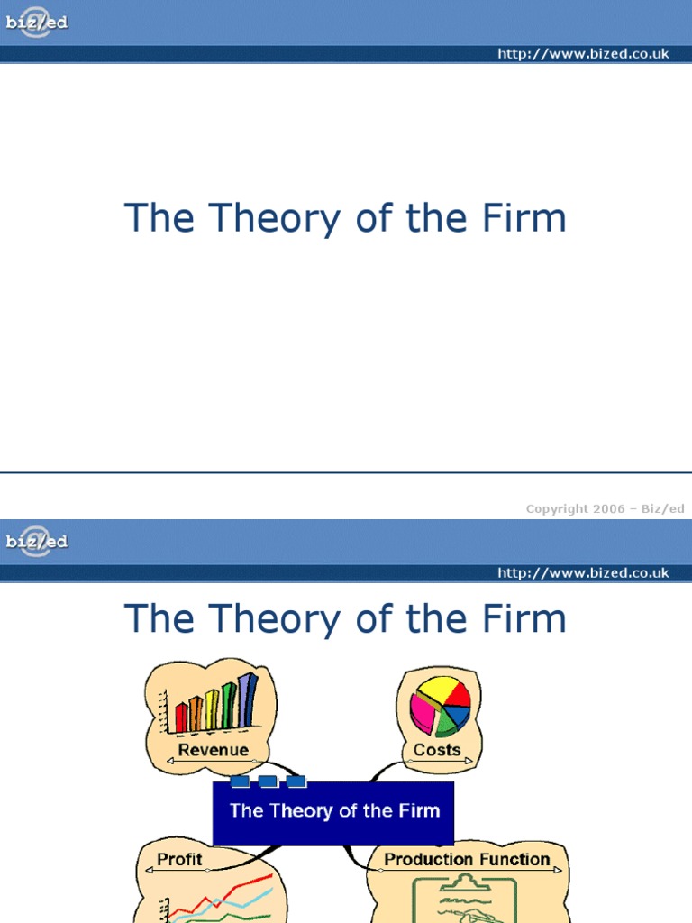 LECTURE 2 Theory of The Firm-Production and Cost | PDF