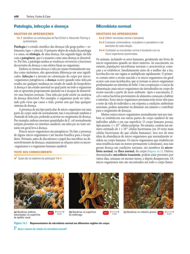 Artigo Microbiologia | PDF | Microrganismo | Bactérias