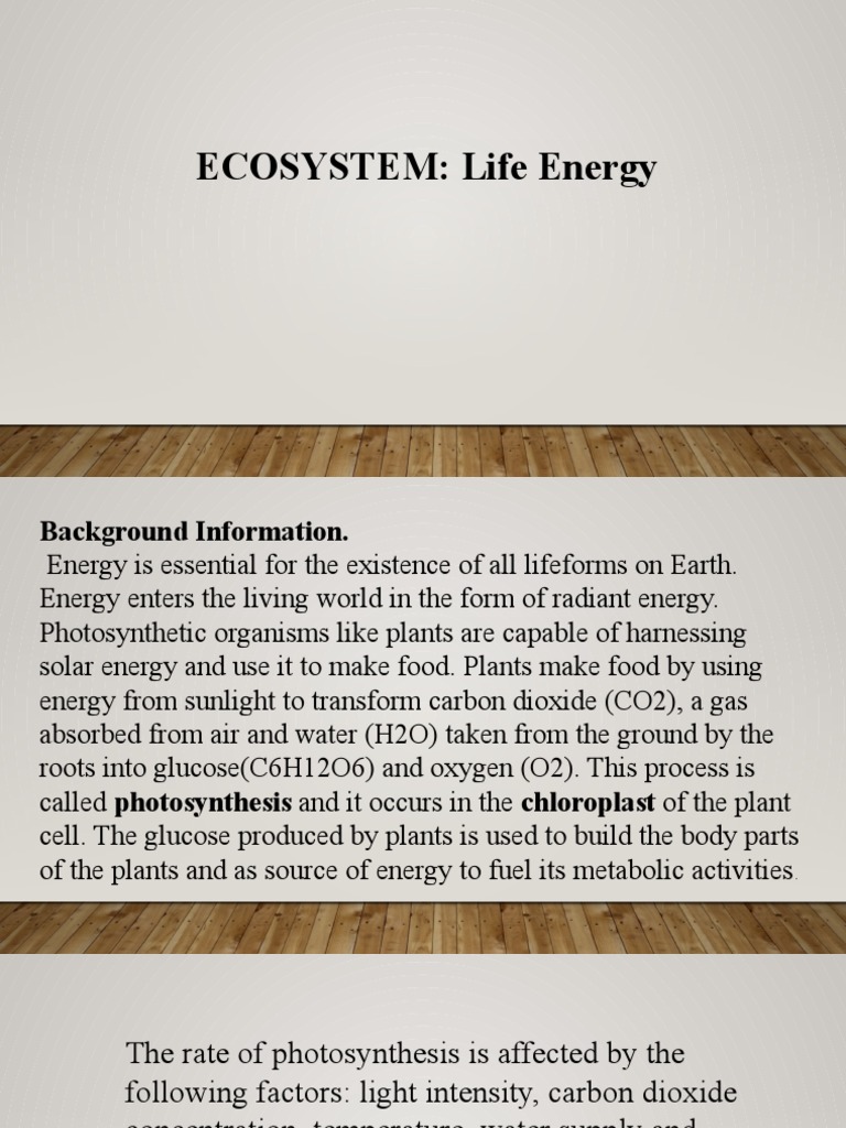 Ecosystem Energy and Photosynthesis | PDF | Photosynthesis | Cellular ...