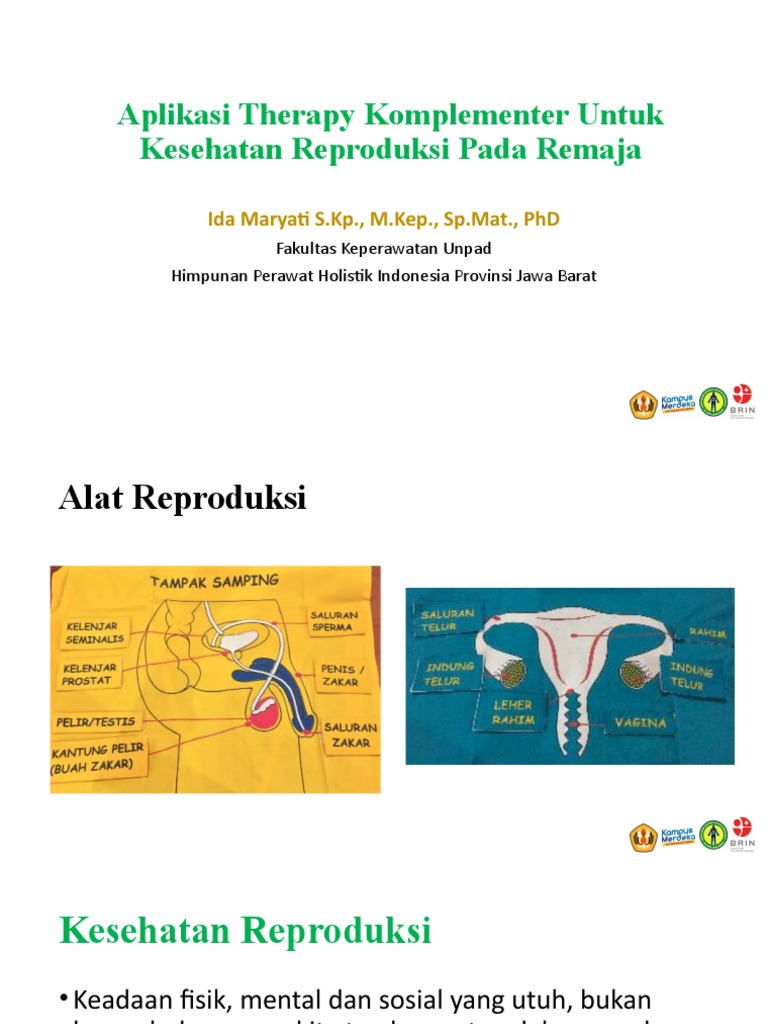 Aplikasi Komplementer Pada Kesehatan Reproduksi Remaja | PDF
