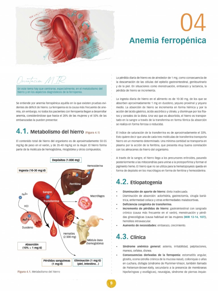 Anemia Ferropenica | PDF