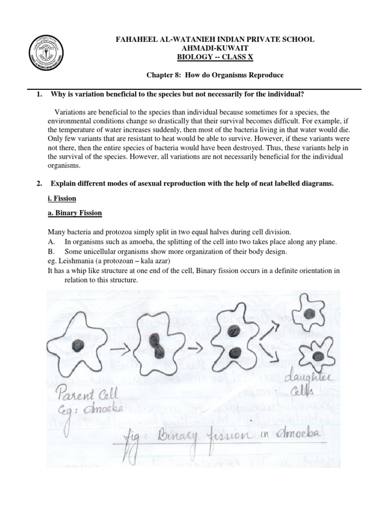 Class 10 Notes on Organism Reproduction | PDF | Flowers | Reproduction