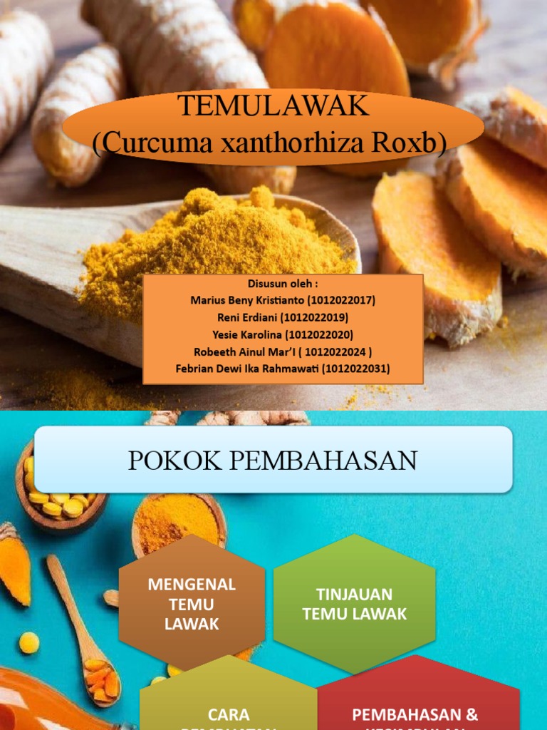 Temulawak PPT Reni Dewi Yesi Beni | PDF | Griya & Taman | Kesehatan Holistik