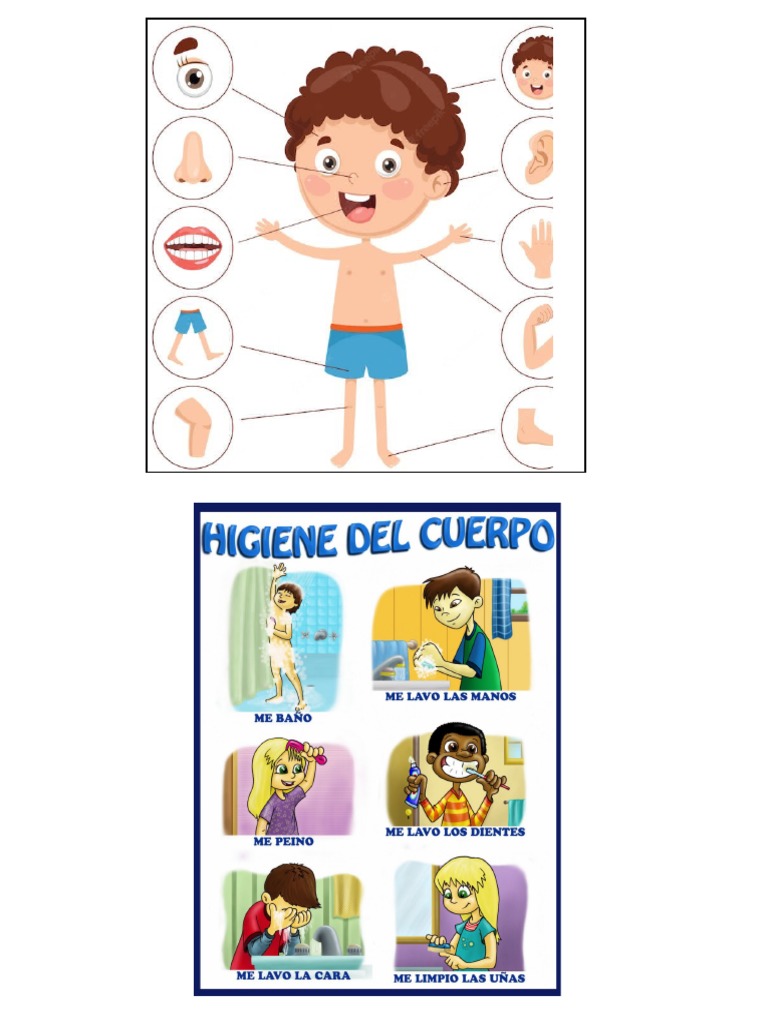El Cuerpo Humano Imagenes Tarea Para Niños Pdf