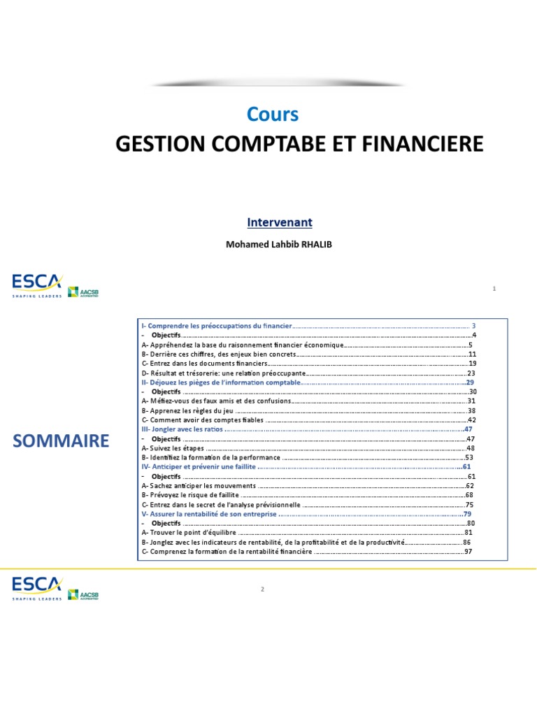 Gestion Comptable et Financière Essentielle | PDF | Revenu brut | Capitaux propres
