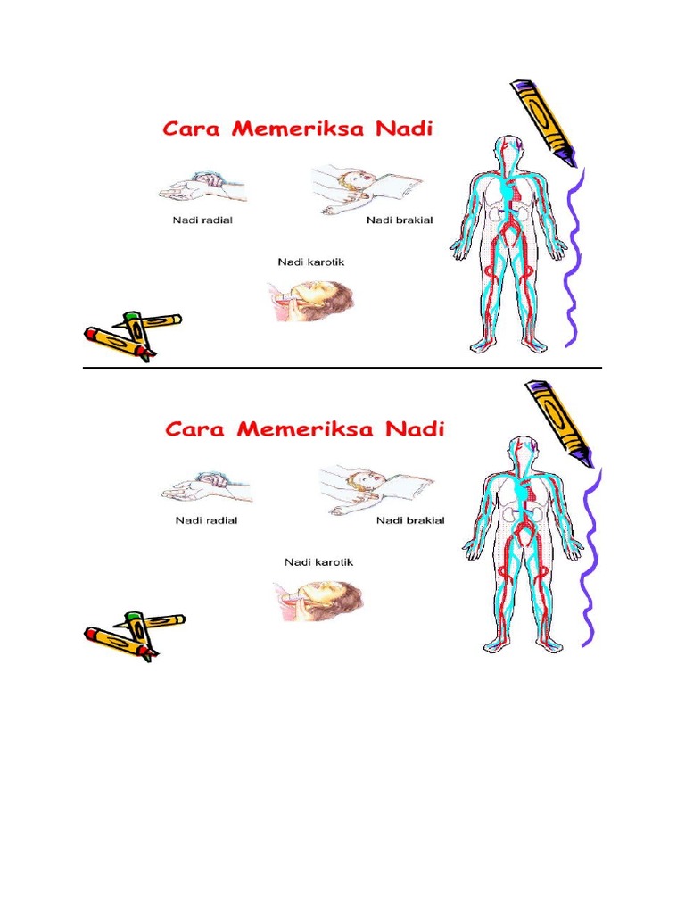 Cara Memeriksa Nadi | PDF