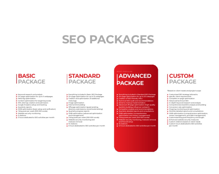 SEO Packages | PDF