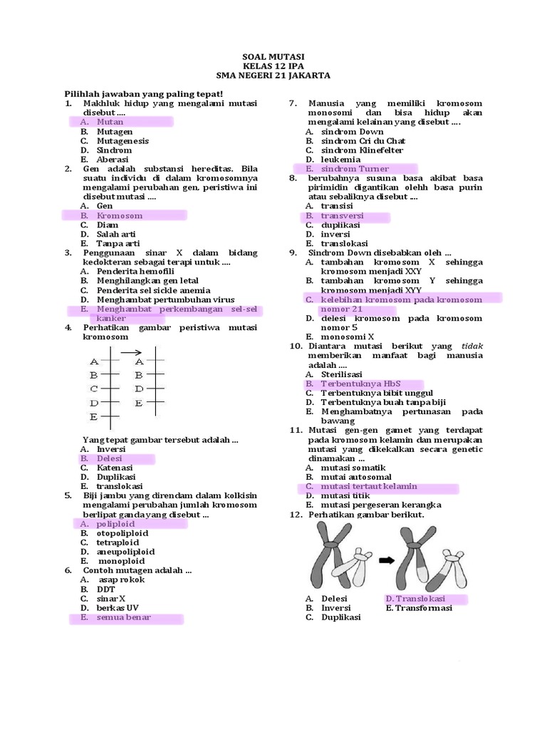 Agustin Ratna Anjani | PDF