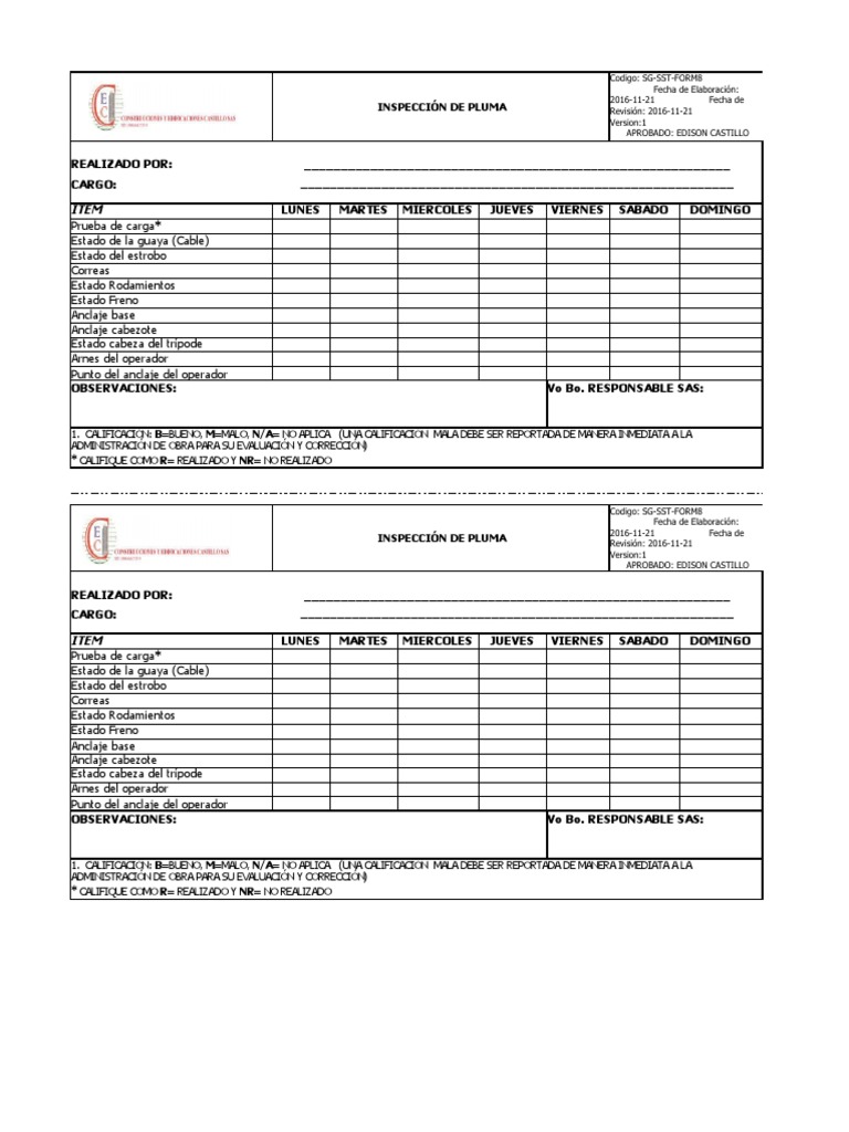 SG-SST - Form 8 Inspeccion de Pluma | PDF
