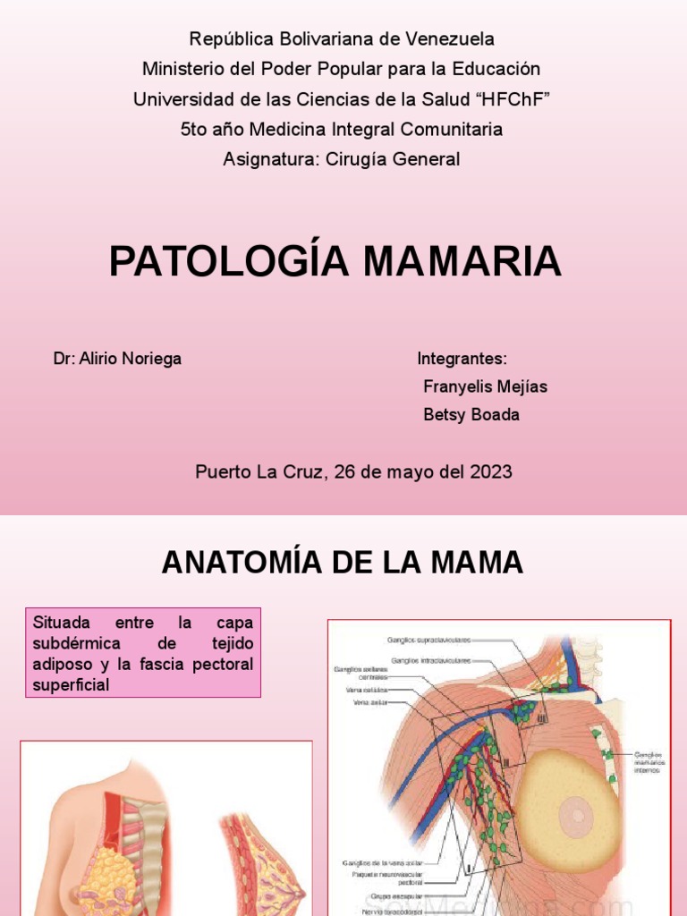 Patologia Mamaria | PDF | Cáncer de mama | Pecho