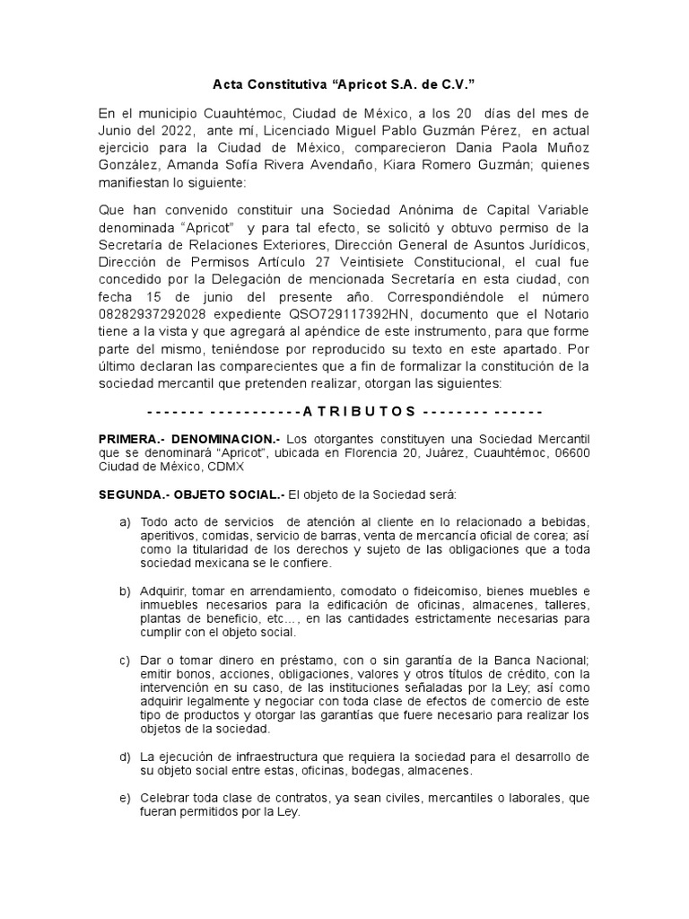 Acta Constitutiva | PDF