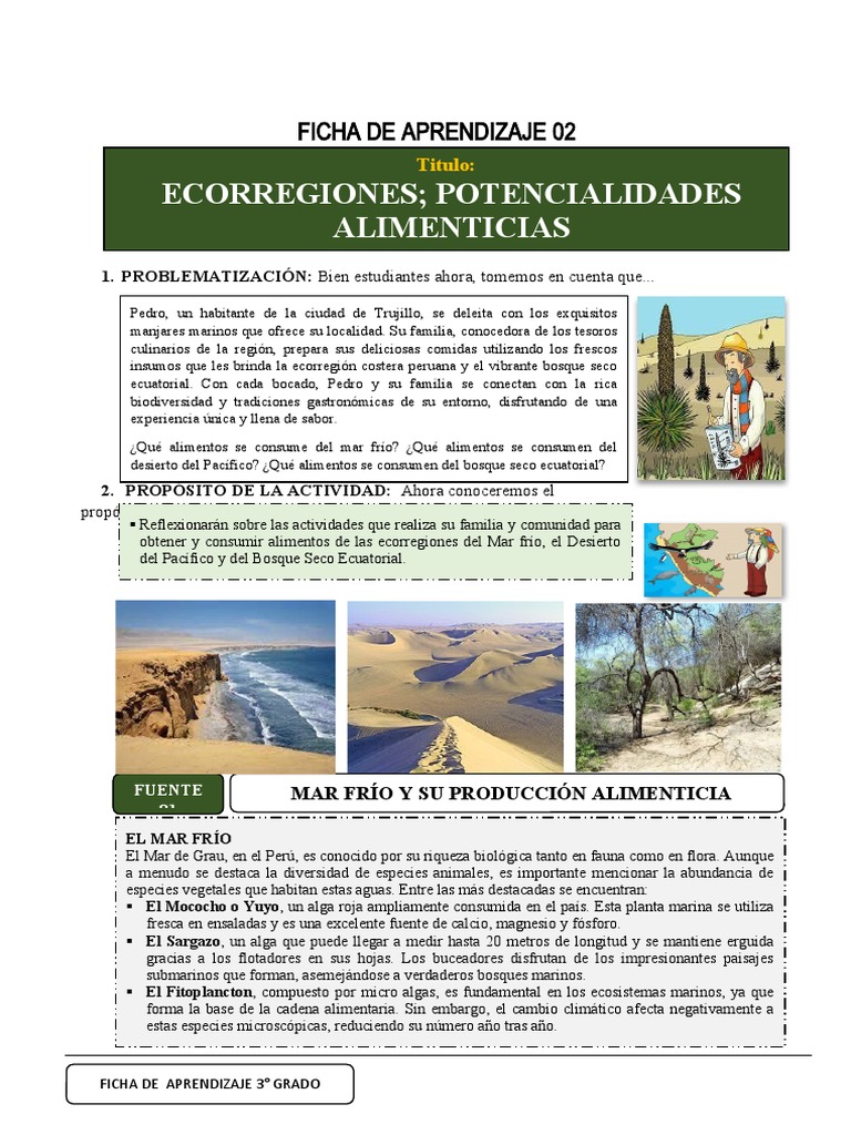 2 Ficha de Aprendizaje CCSS 3° Grado | PDF | Organismos