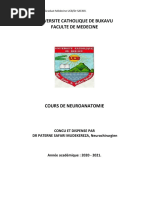 Rôle et anatomie du centre ovale cérébral | PDF | Cerveau | Cortex cérébral