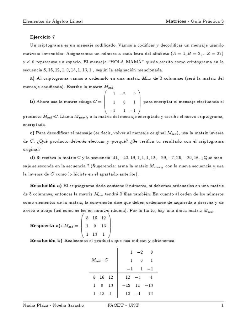 Ejercicio 7 - Guía 3 - MAtrices | PDF | Métodos y materiales de enseñanza