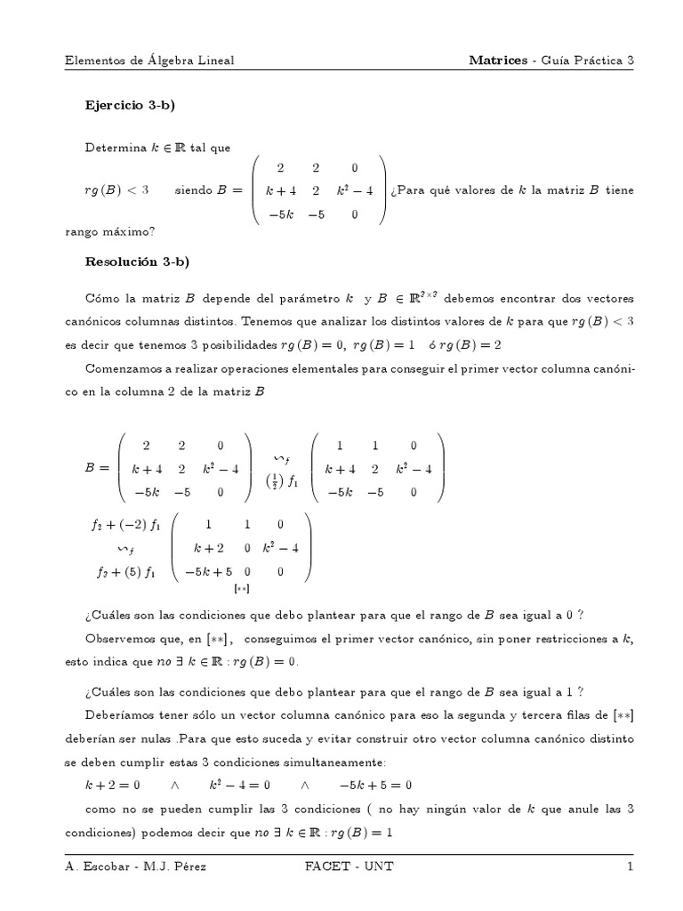 Ejercicio 3b-Guía 3 - Matrices | PDF | Matriz (Matemáticas) | Álgebra