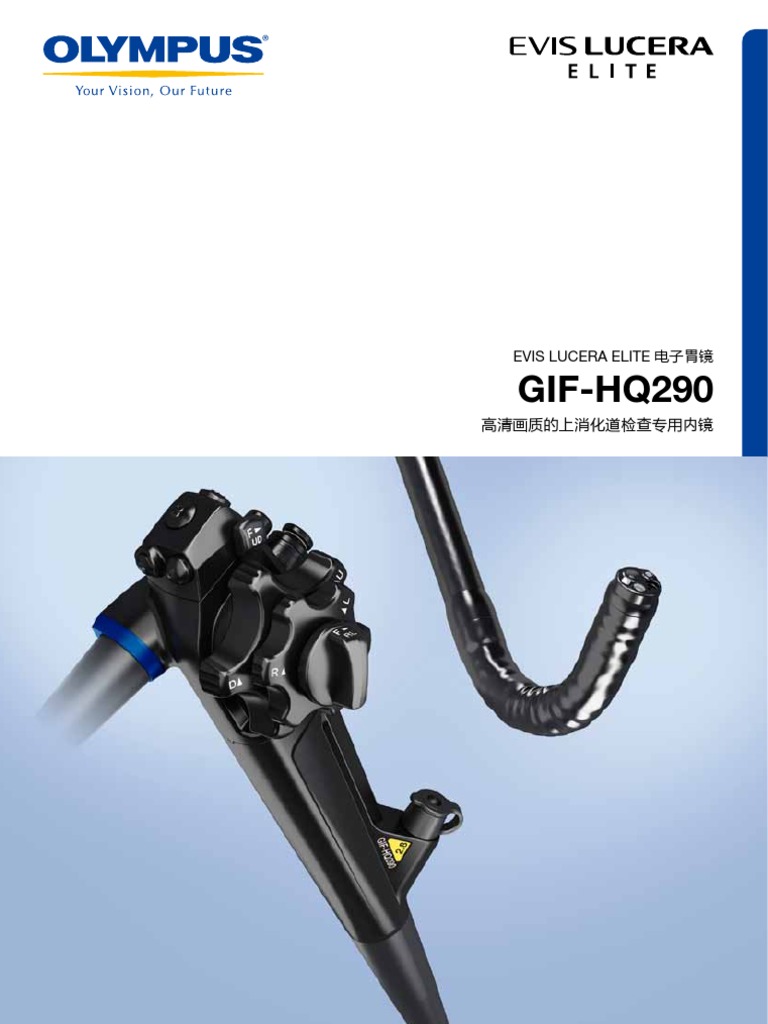 GIF-HQ290 彩页 | PDF