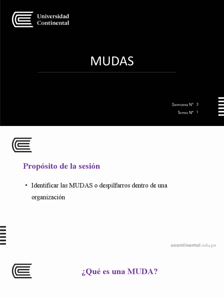 Identificación de Mudas Empresariales | PDF | Informática