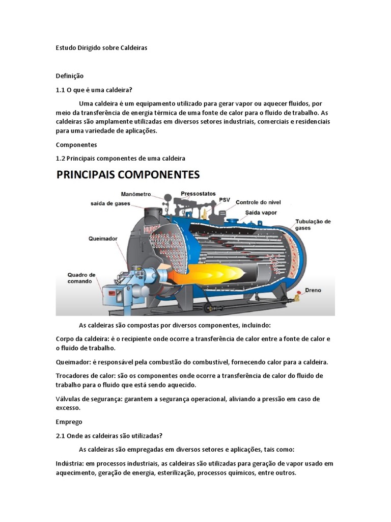 Estudo Dirigido Sobre Caldeiras | PDF | Caldeira | Calor