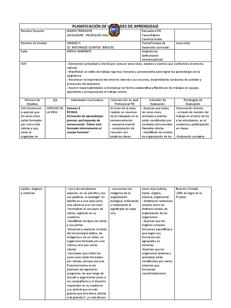 5° CS. NAT PLANIF. I Unidad Junio-Julio 2023 | PDF