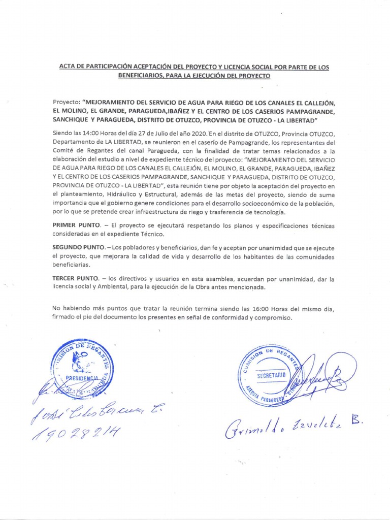 Acta de Aceptación Del Proyecto | PDF