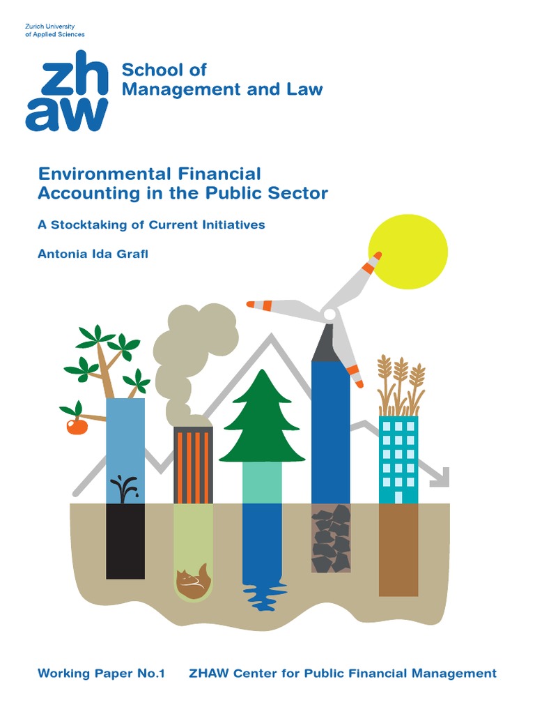 Environmental Financial Accounting in The Public Sector | PDF | Risk ...