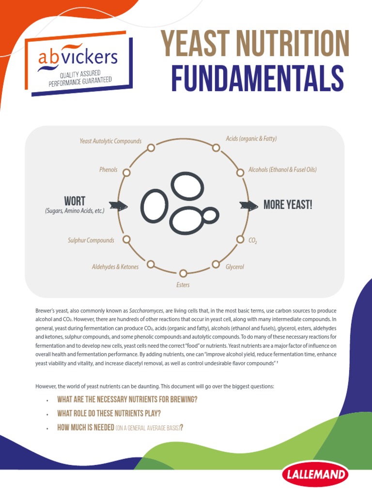Nutrition Booklet ENG Digital AB Vickers | PDF | Carbohydrates | Yeast